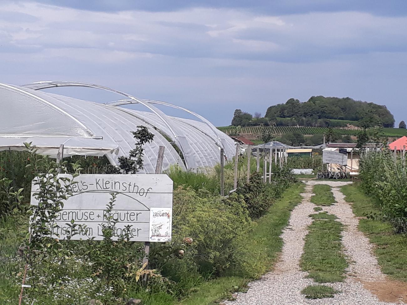 Michels Kleinsthof Tunsel | Urbanes Gärtnern in Freiburg